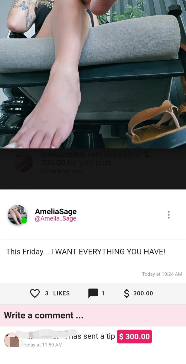 AmeliaSage | FINmessage